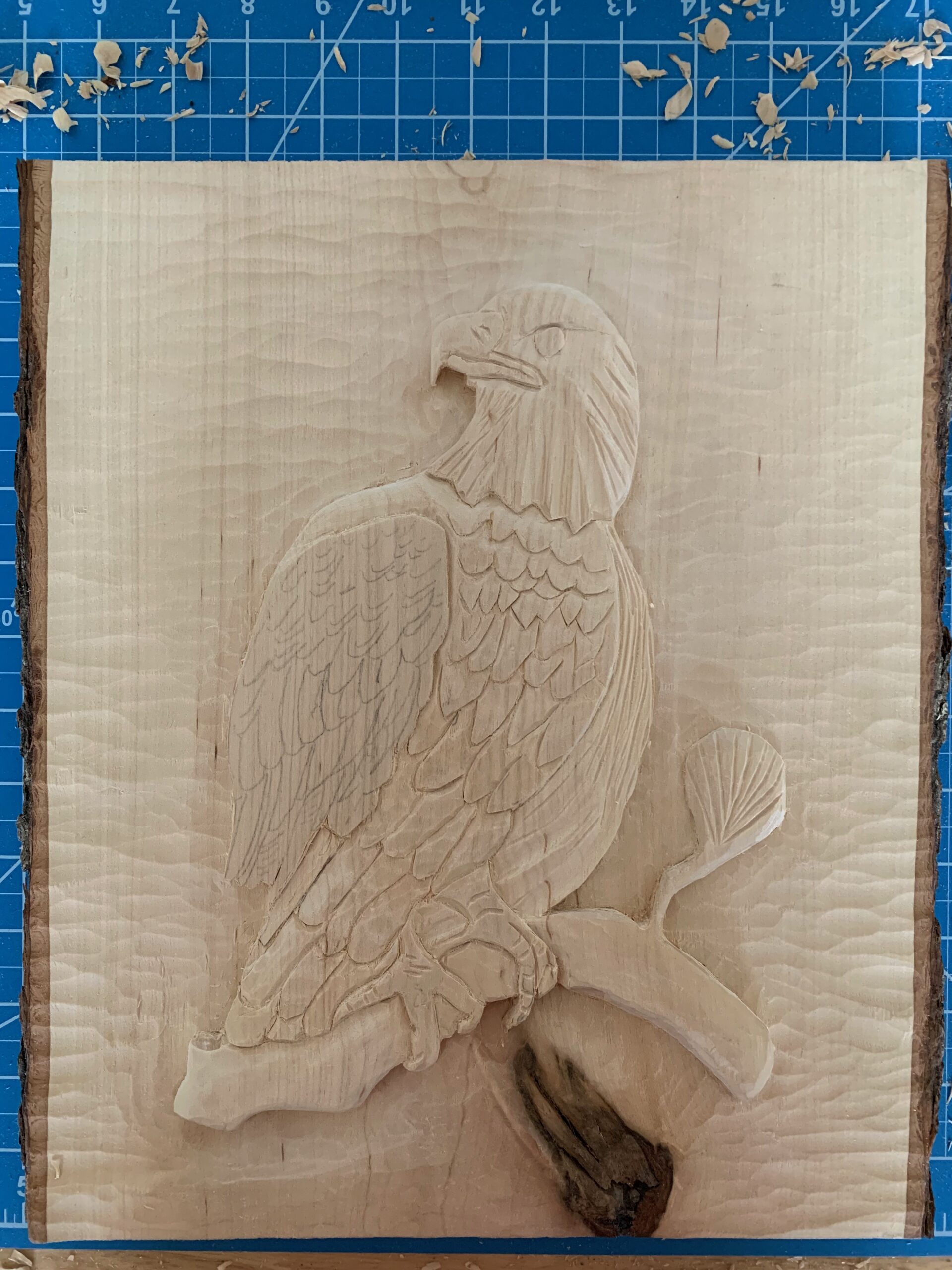 Portfolio – Chipin' Wood